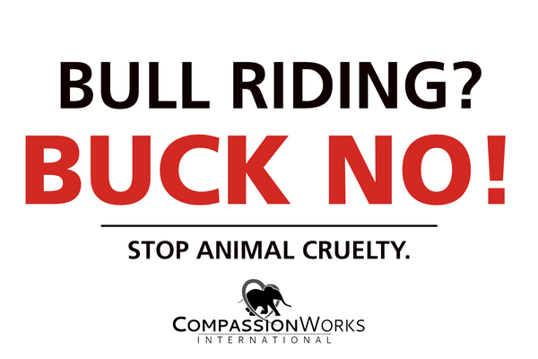 Bull Riding...Buck No! Protest Poster – CompassionWorks International