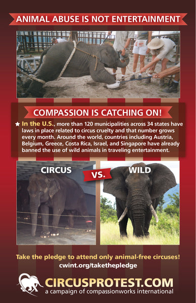 Circus Protest leaflet (includes elephants) – CompassionWorks International