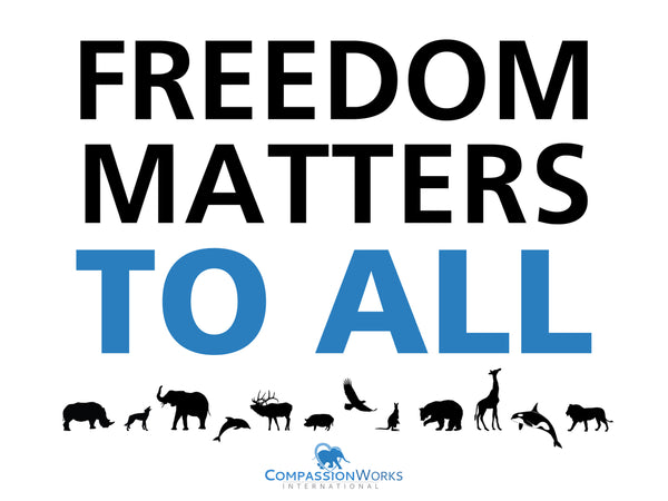 Freedom Matters Protest Poster – CompassionWorks International