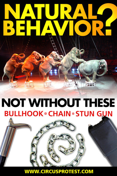 Natural Behavior protest poster – CompassionWorks International